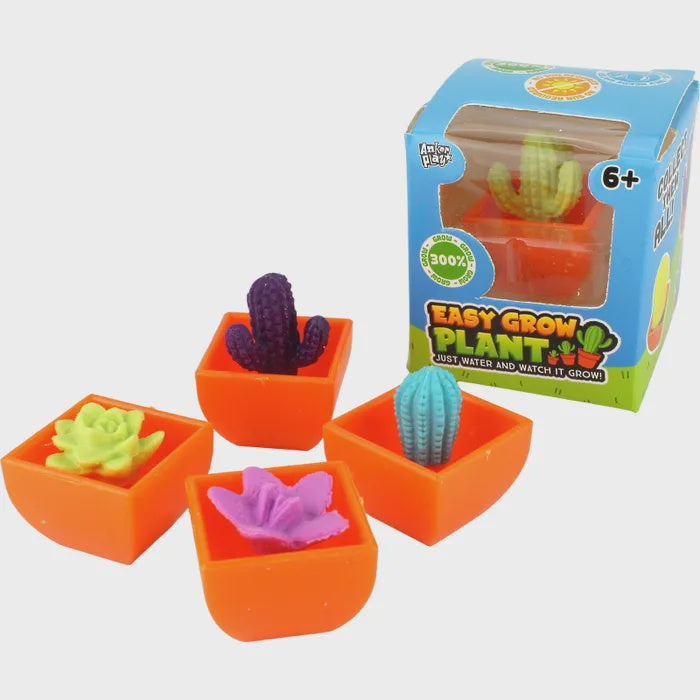 Easy Grow Plant Asstd RRP $4.99