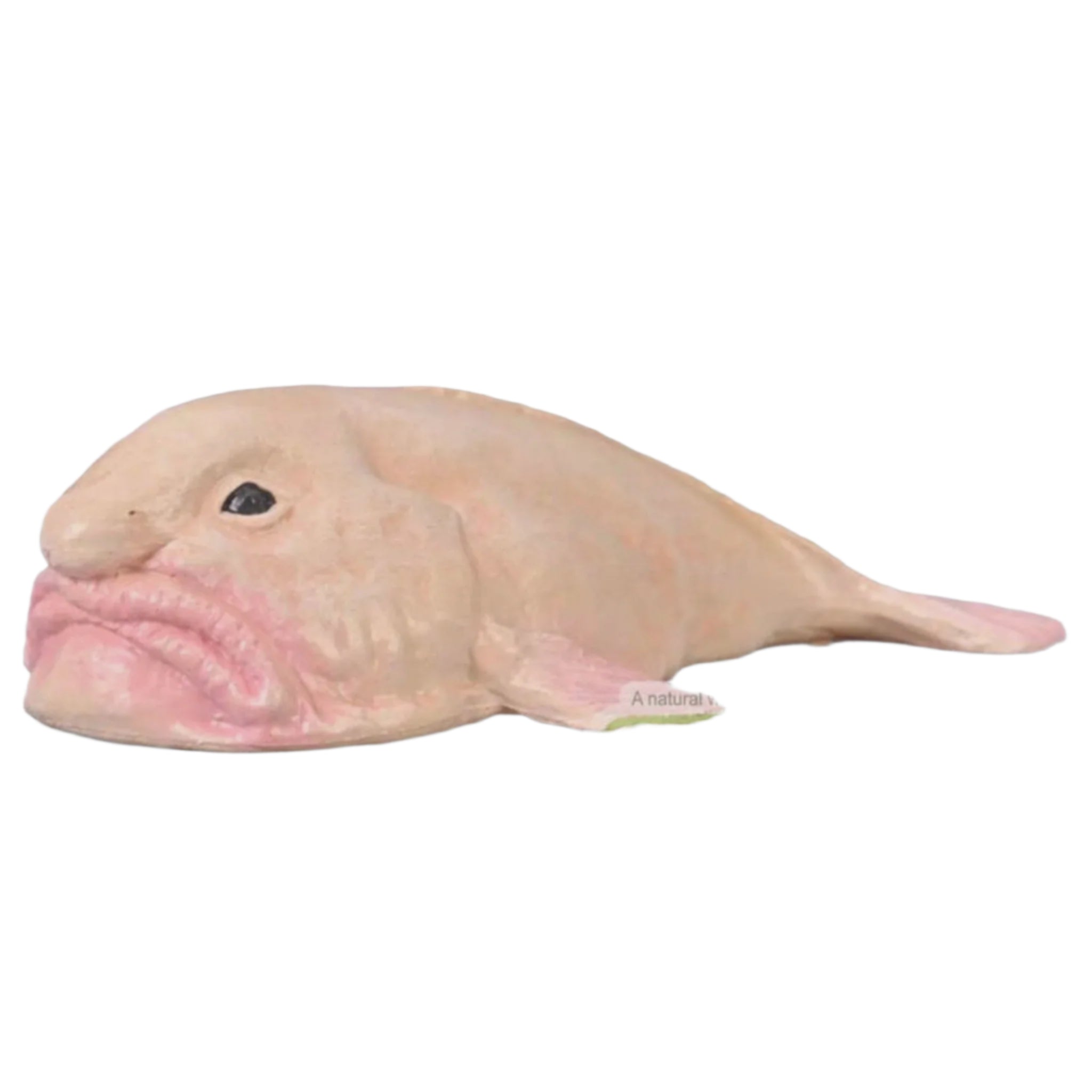 CollectA | Blobfish