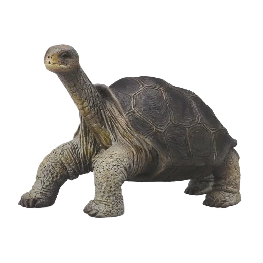 CollectA | Pinta Island Tortoise